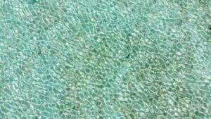 10 Unique Pool Tile Designs Enhancing Your Pool's Aesthetics